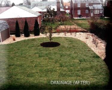 7 Ways to Solve Landscape Drainage Problems - DiSabatino Landscaping